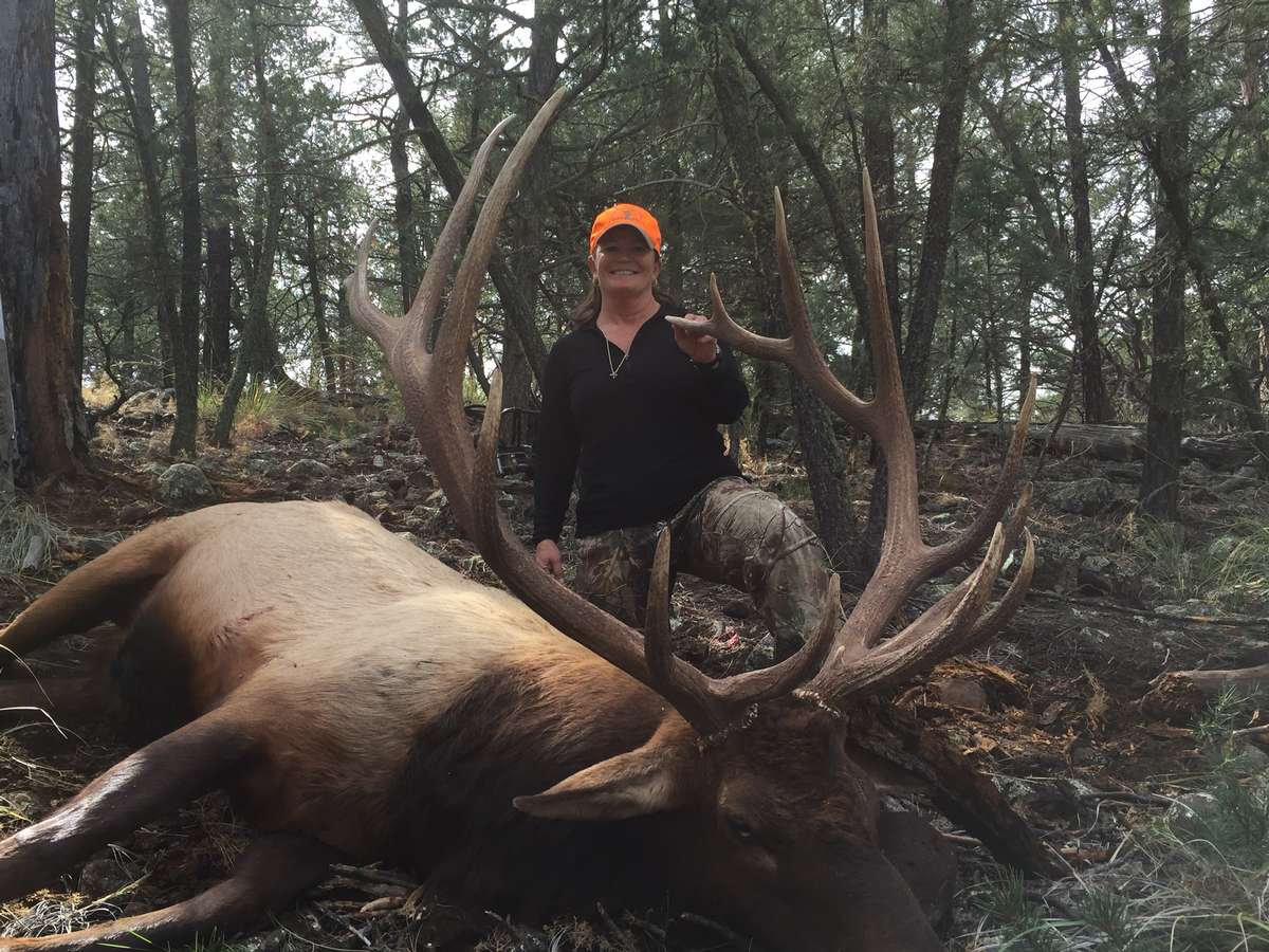 Page 2/8 - Elk Hunting Photo Gallery - H&A Outfitters